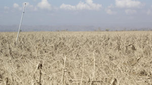 Oxfam joins Asian Ministerial Conference on Disaster Risk Reduction ...