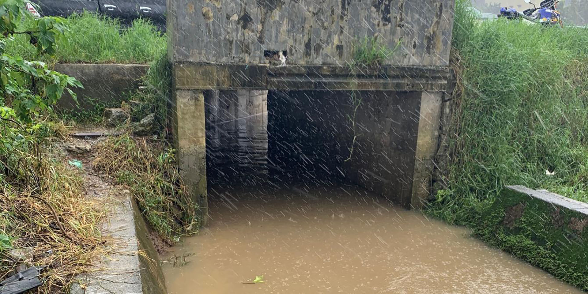 Flood mitigation project spares community in Benguet from damaged crops ...